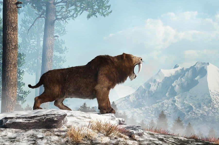 15种我们希望还活着的可爱的灭绝动物-下一个奢侈 - 伟德电子官网