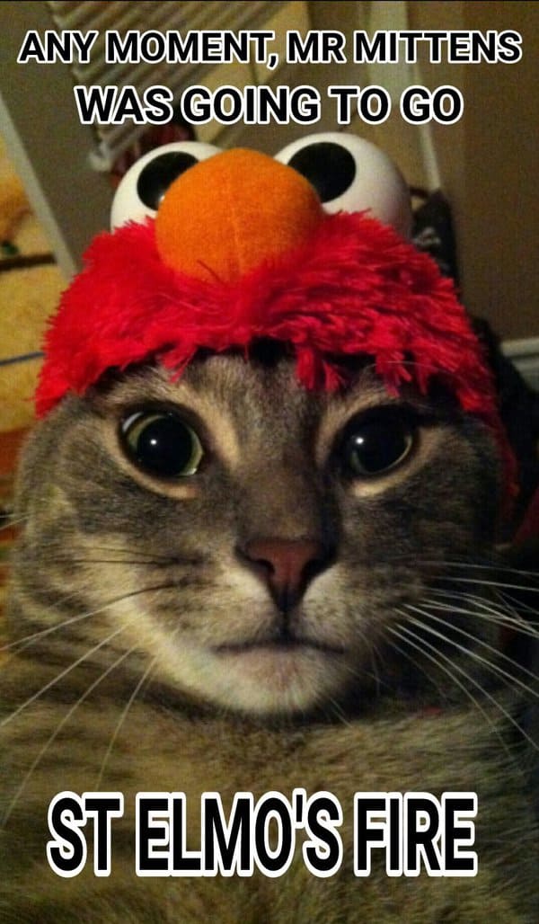 20个有趣的埃尔默表情包，会让你咯咯笑-下一个奢侈品 - 伟德电子官网