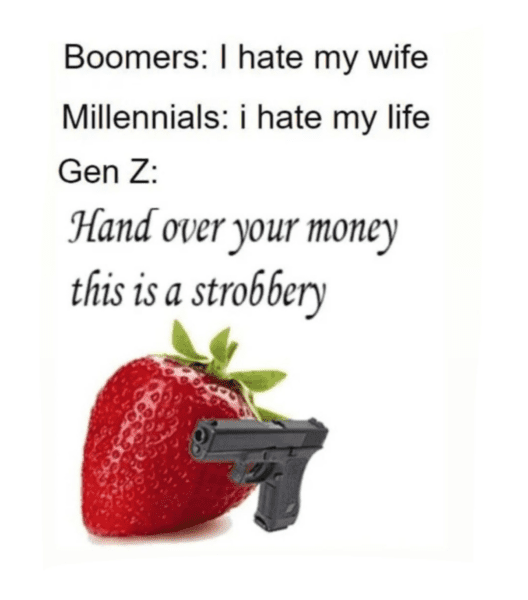 20个Z世代的搞笑表情包总结了文化分歧——下一个奢侈品 - 伟德电子官网